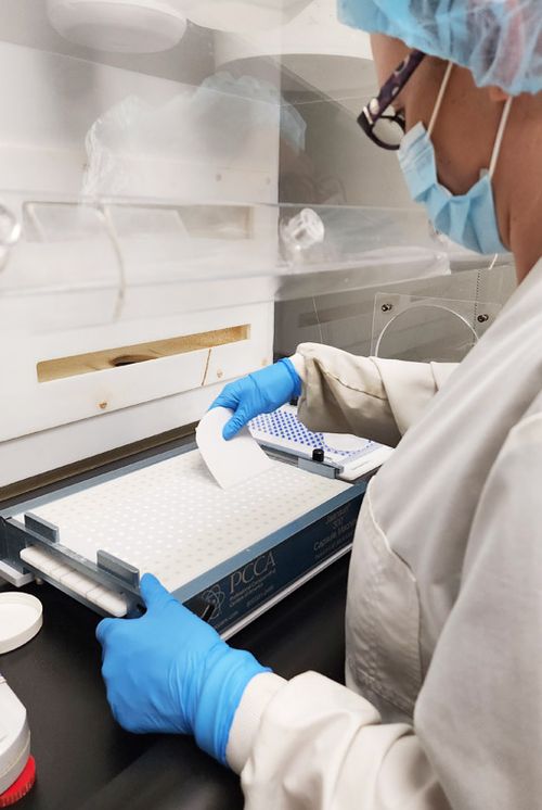 Home | Bayview Pharmacy | Compounding Pharmacy | All Specialties