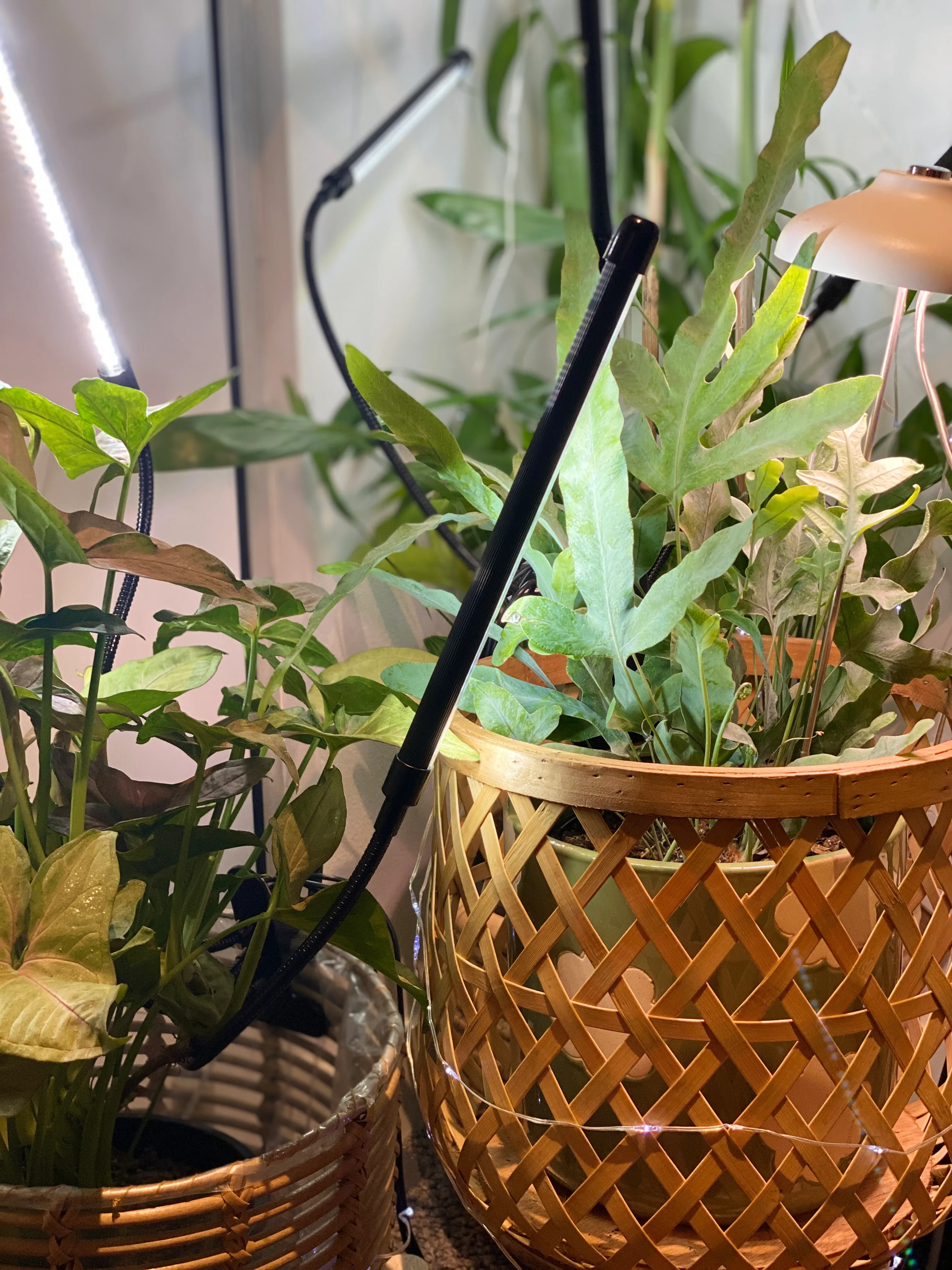 Welcome to Your Movement Space | Transformative Movement Experiences