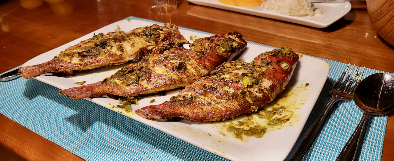 Mentawai Surf Camp | Surf Camp Indonesia | Your Epic Surf Trip