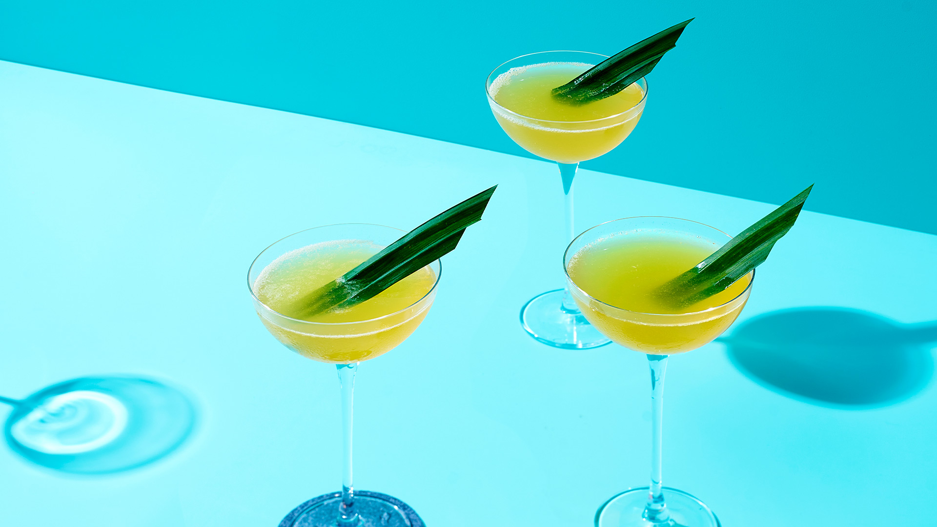 Ebb & Flow Group | Investments & Incubation