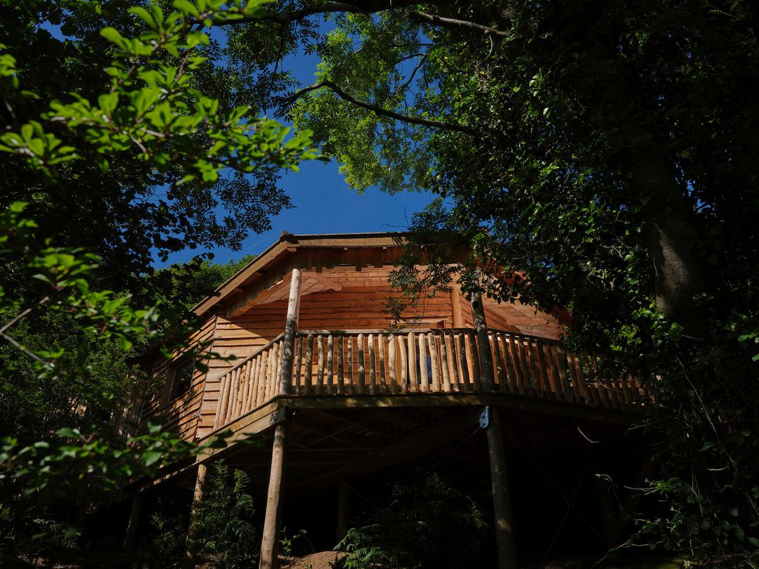 Treehouses in Devon that look as good as they sound