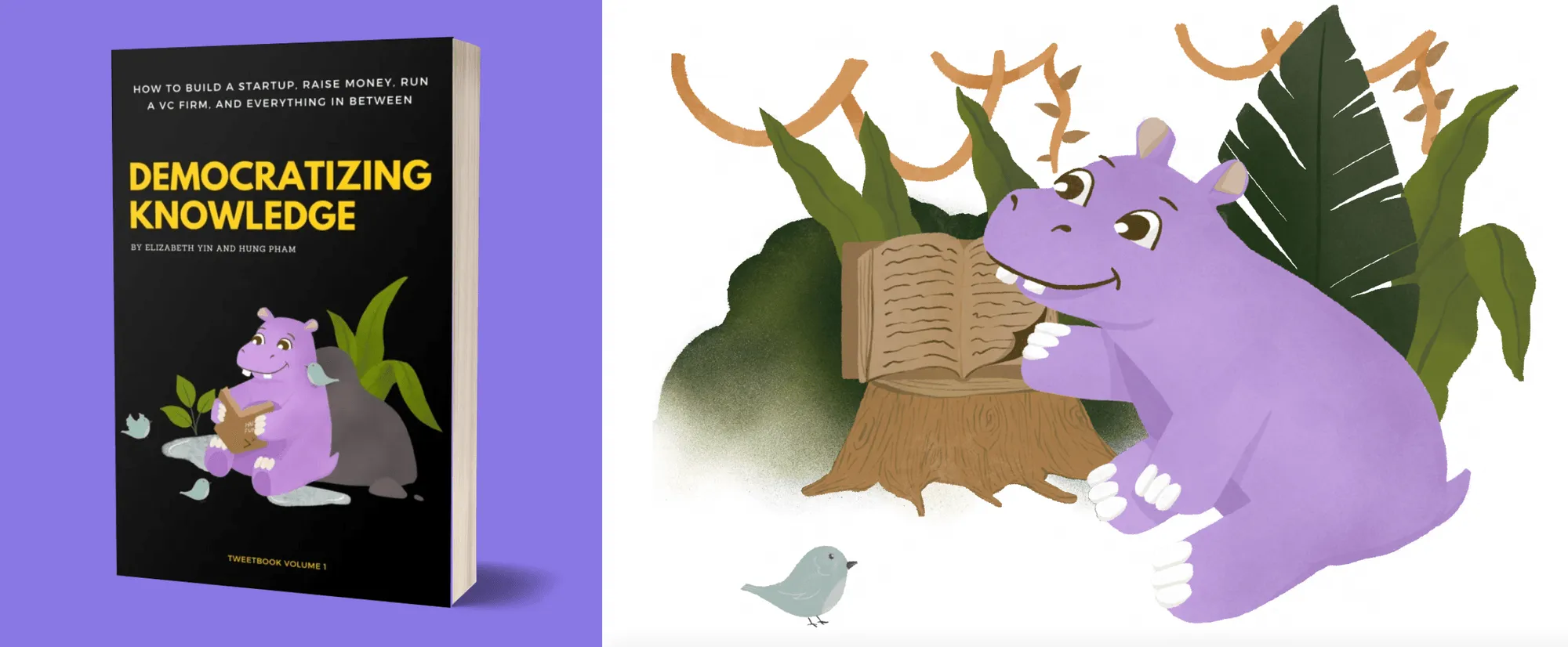 Get the Democratizing Knowledge e-book! It doesn’t suck! | Hustle Fund