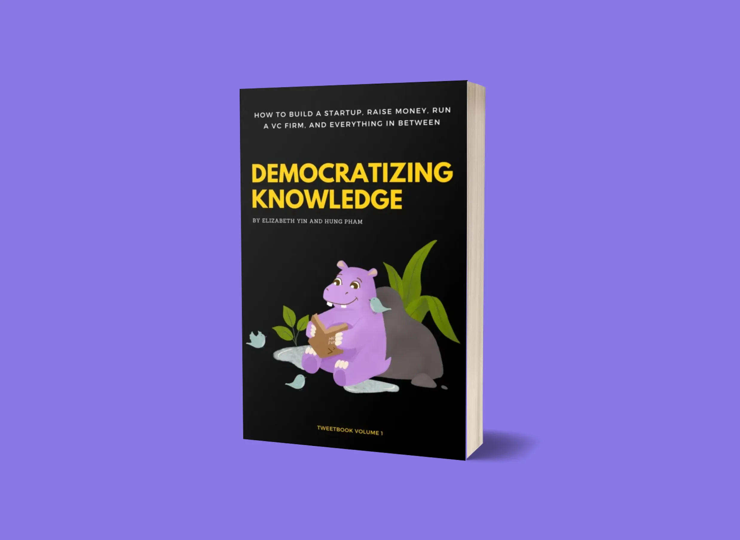 Get the Democratizing Knowledge e-book! It doesn’t suck! | Hustle Fund