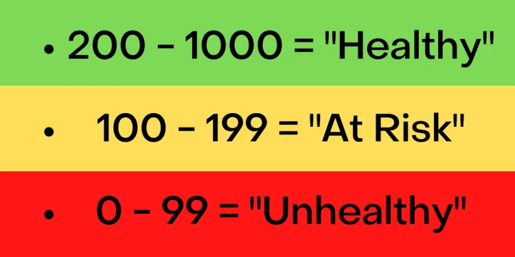 Everything You Need to Know About the New Amazon Account Health Rating ...