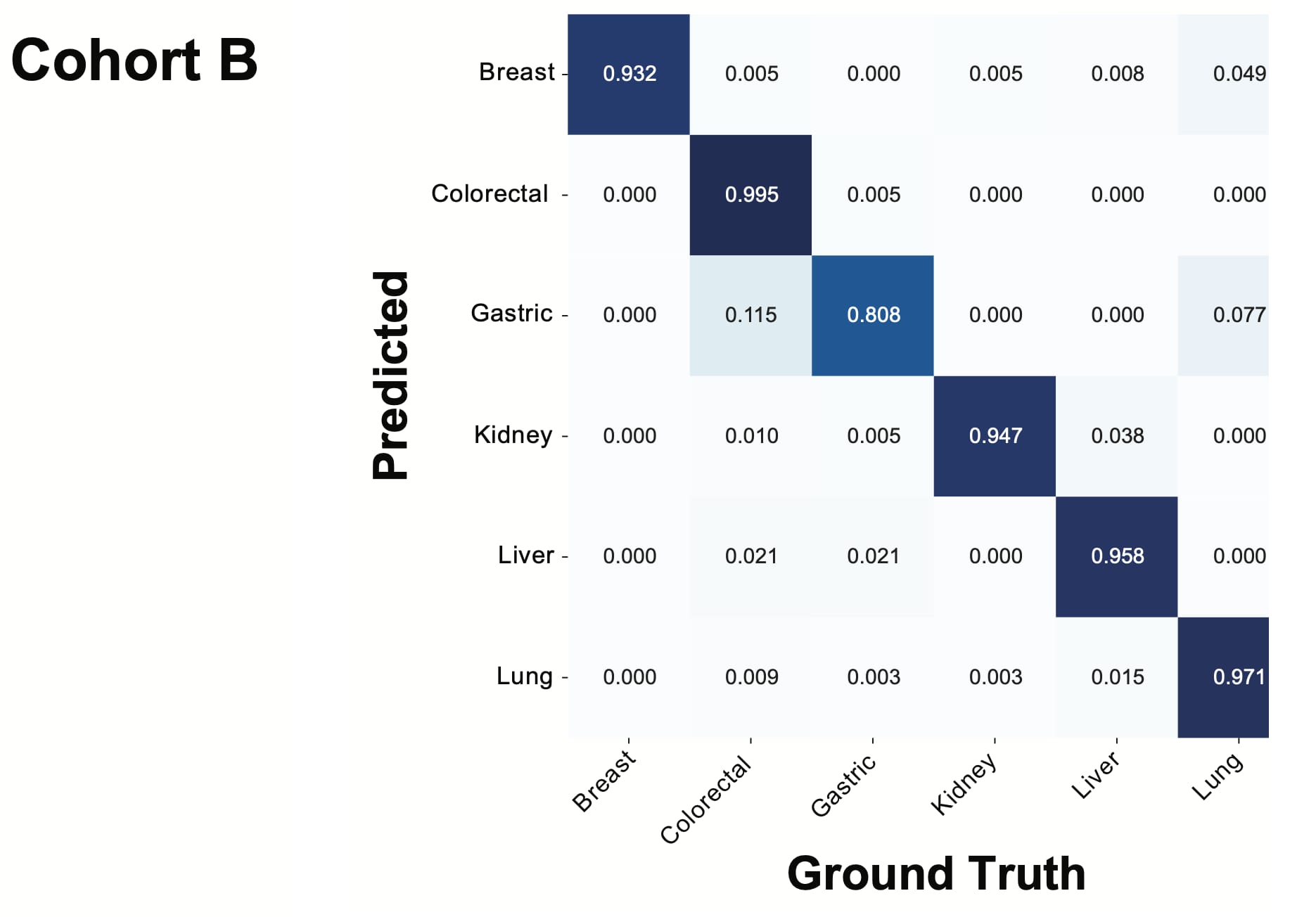 Orphan RNA Profiles Validated in Multiple Cancers