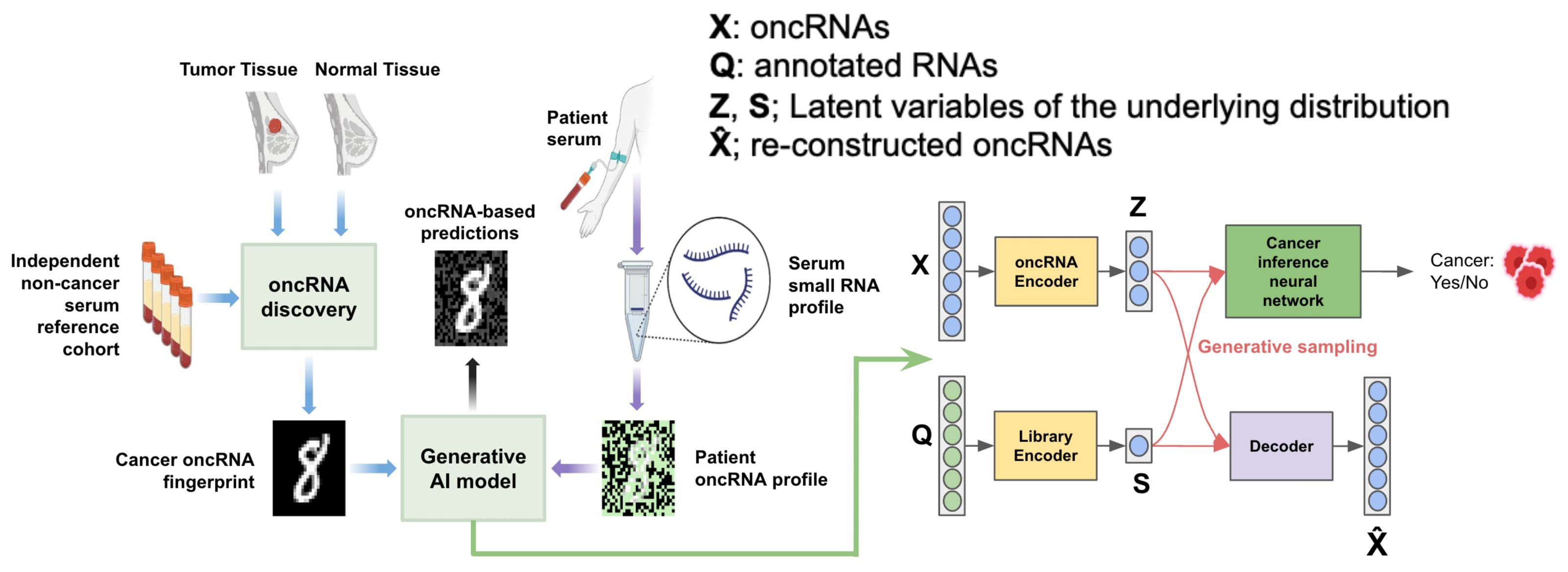 Cell-free orphan noncoding RNAs and AI enable early detection of invasive breast cancer and ...
