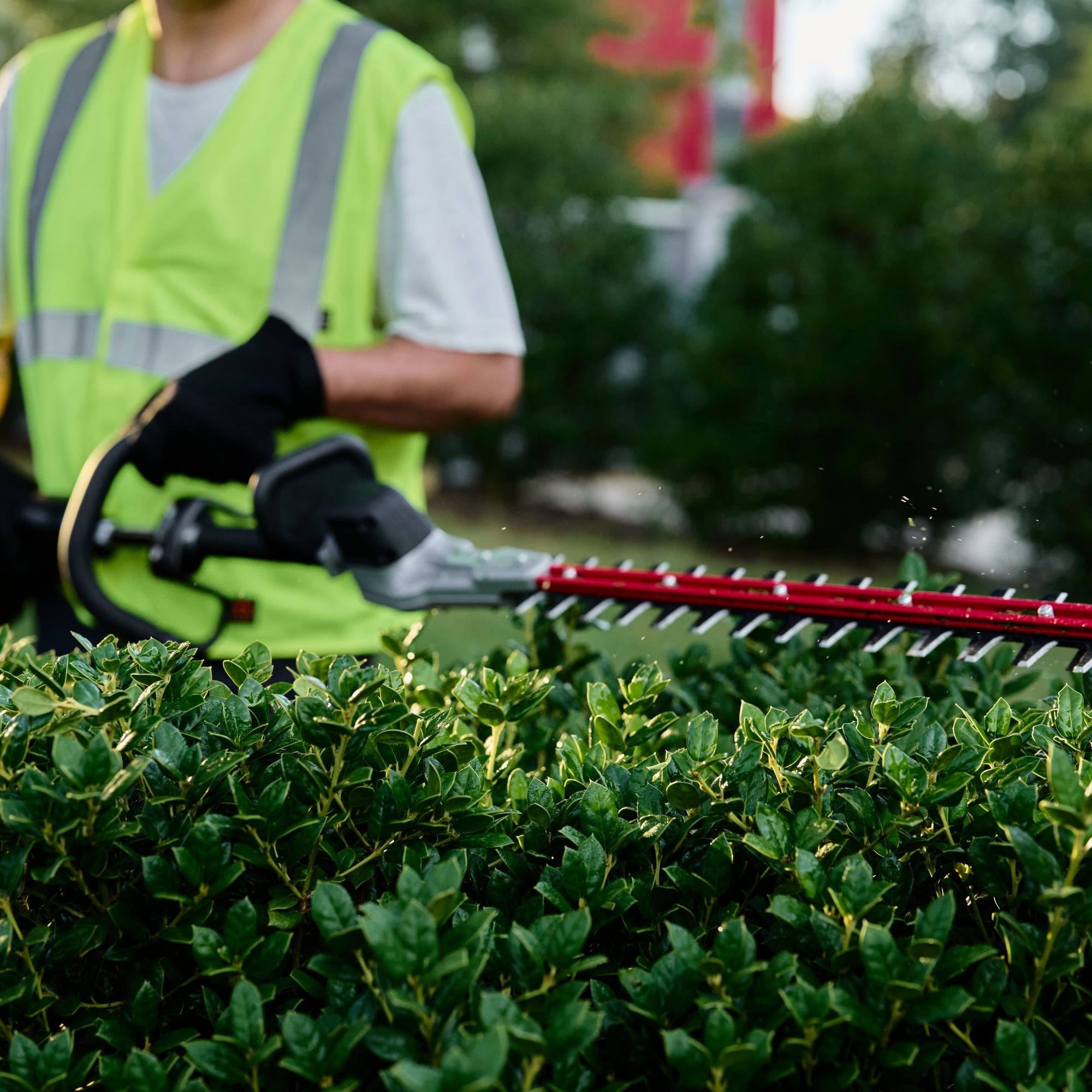 82PH30F 82 Volt Gen II Short Pole Hedge Trimmer | by Greenworks