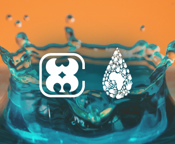 Winnitex - News & Updates