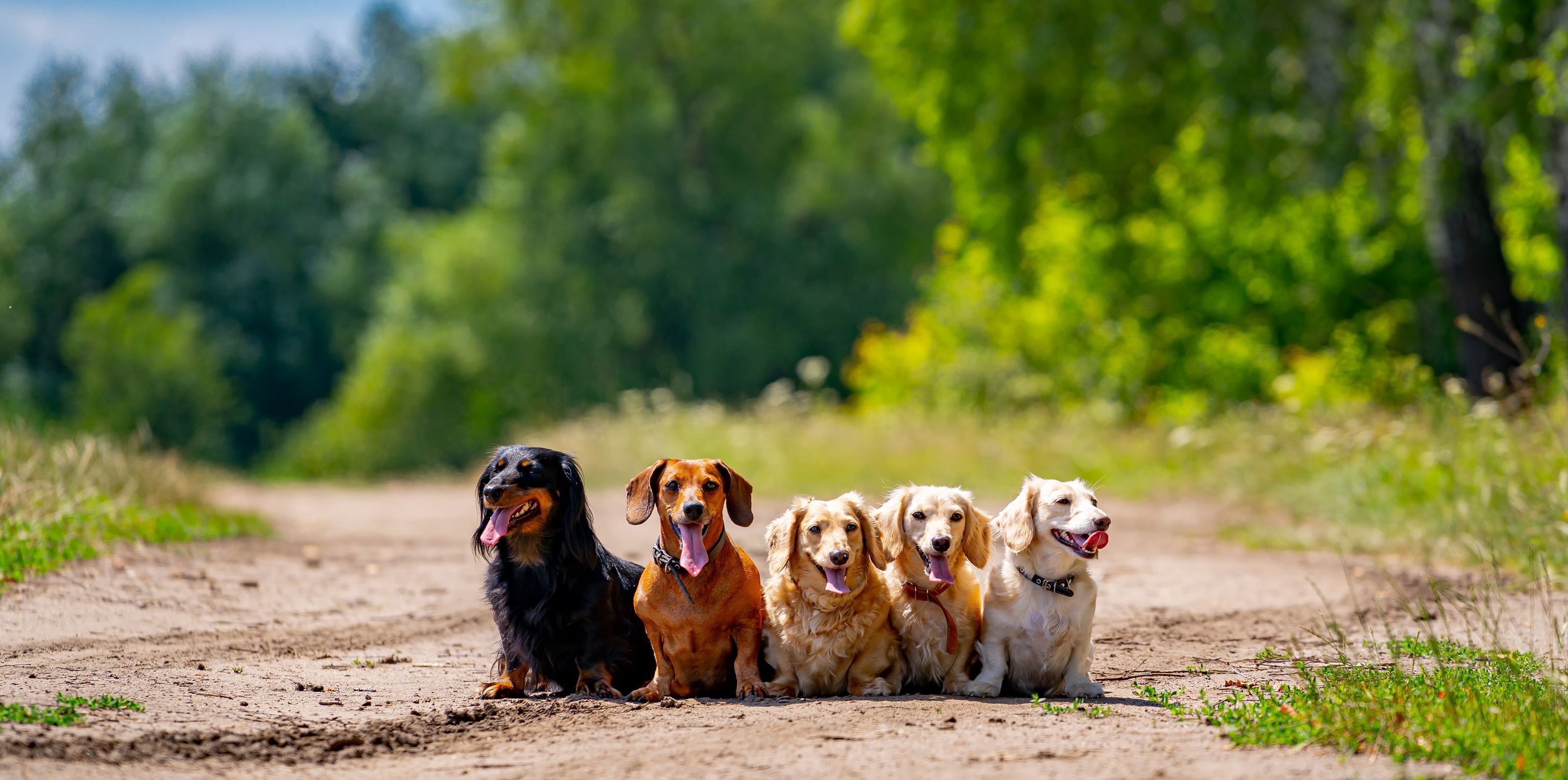 Weatherbys Scientific