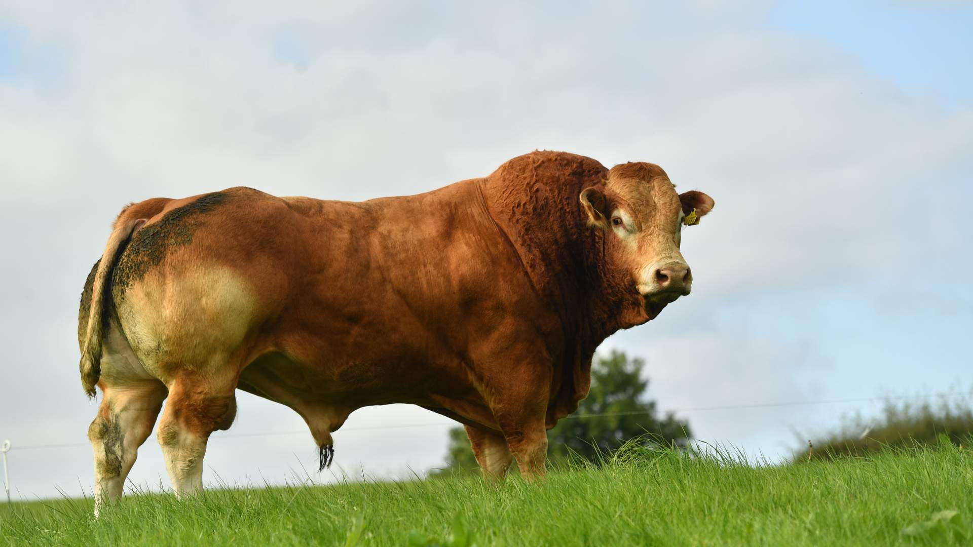 Weatherbys Scientific