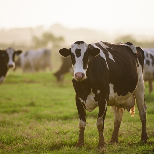 Weatherbys Scientific