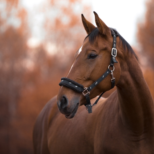 Weatherbys Scientific