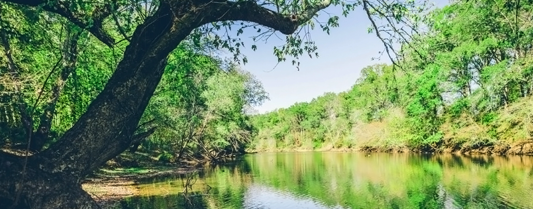 Asset Map – Star Royalties