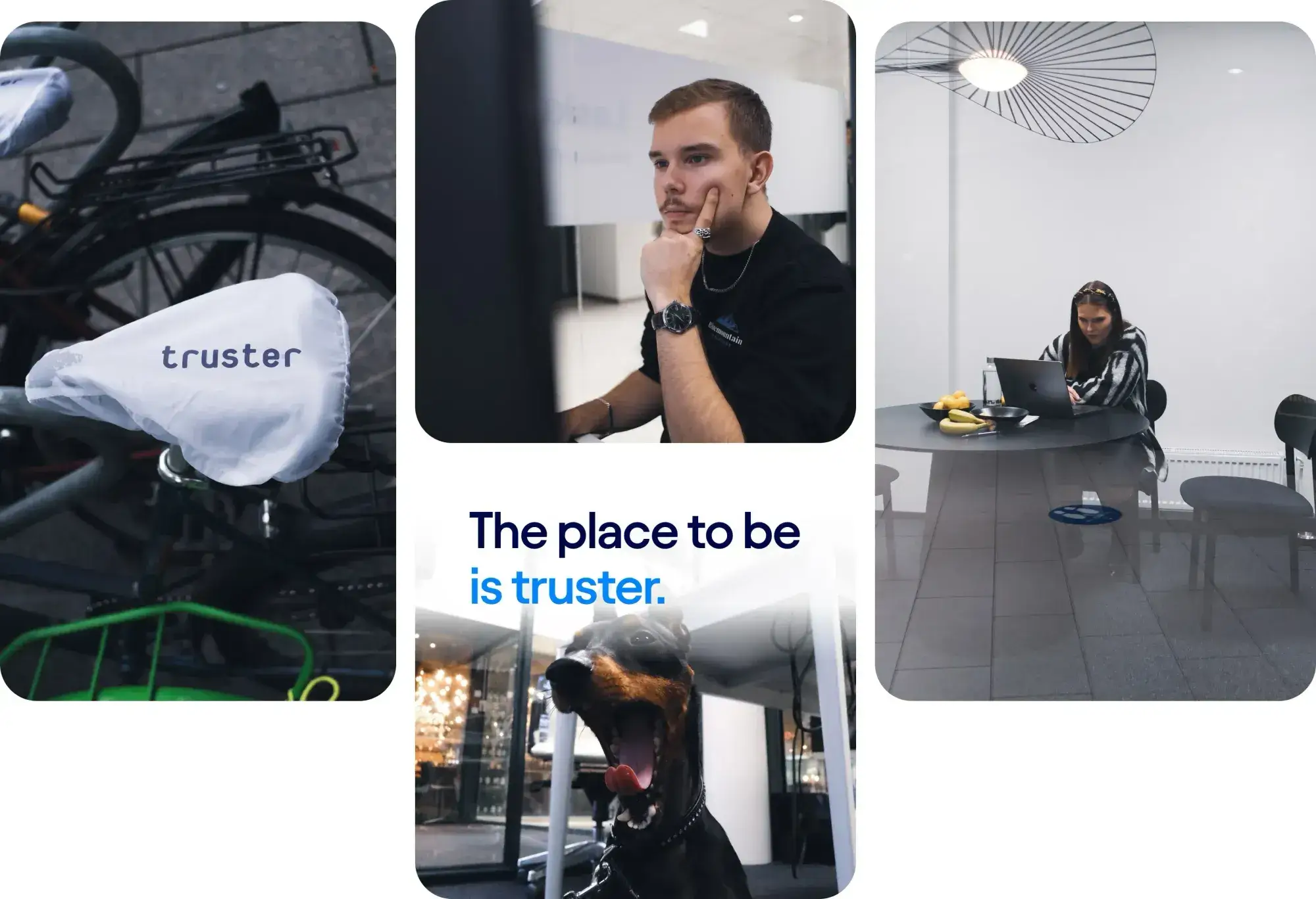 Careers at Truster | Truster..com