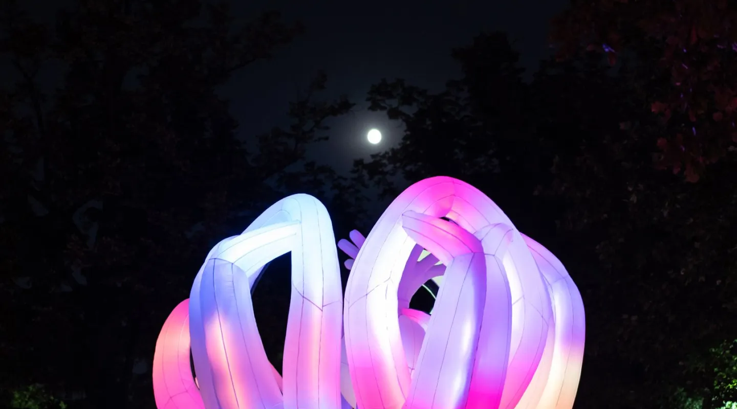 Outdoor Light Installations for Landscape Lighting Activation ...