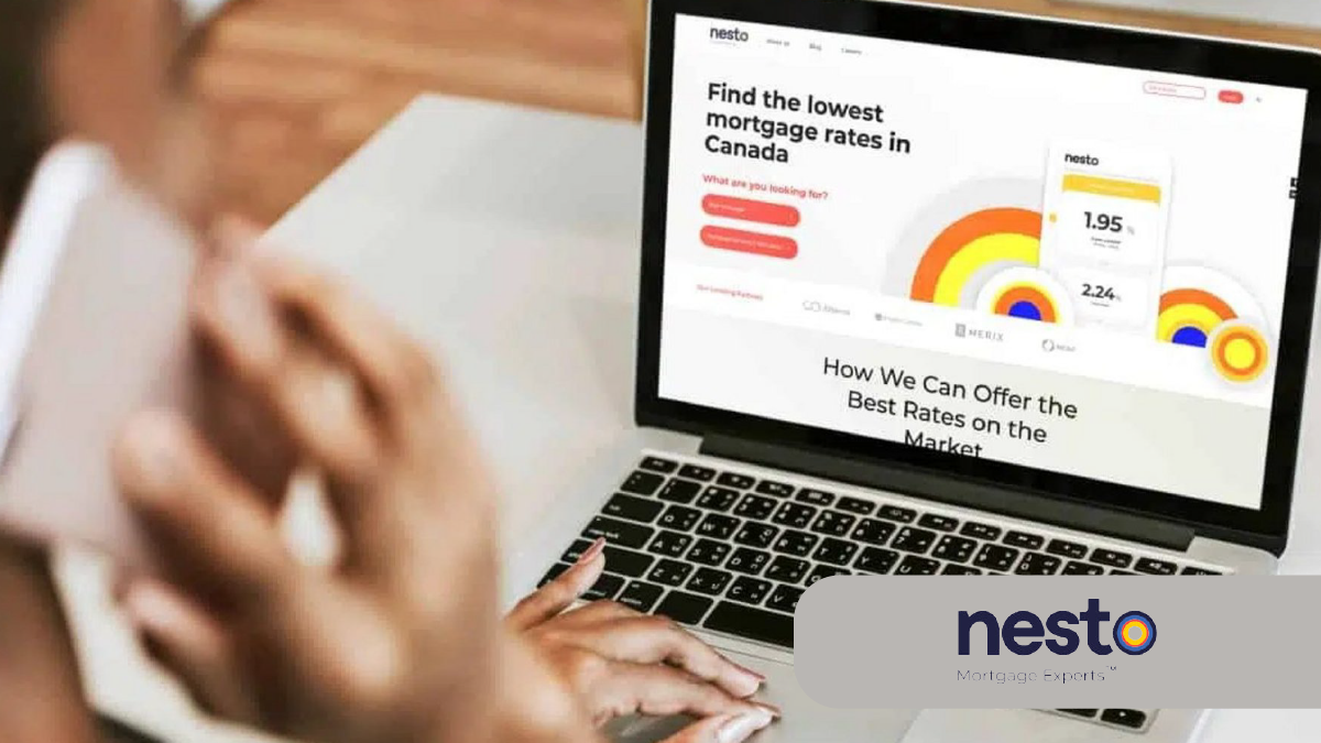 Nesto | Insense Case Study