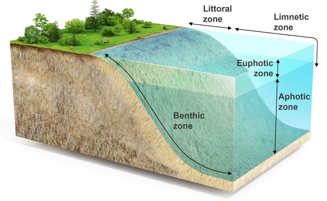 Comprehensive Guide to Lake Mapping: Understanding Techniques, Benefits ...