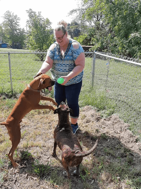 My Thrive Challenge: How Daily Walks With My Dog Bash Help Me Thrive - Thrive Global