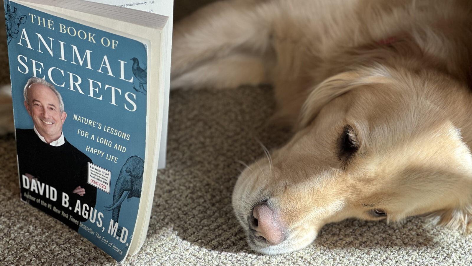 The Book of Animal Secrets: Nature’s Lessons For a Long and Happy Life ...