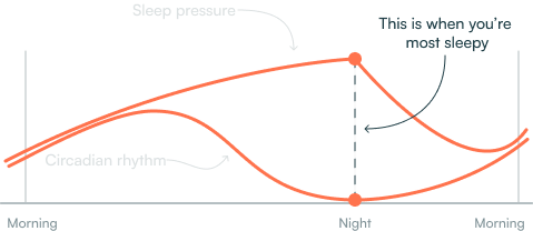 The Two Mechanisms Behind Insomnia: Unraveling the Mystery of Sleepless ...