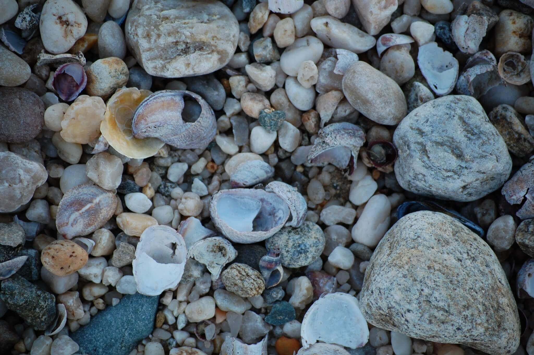 Personal & Business Insurance Agency Patchogue, NY | Bay Harbour