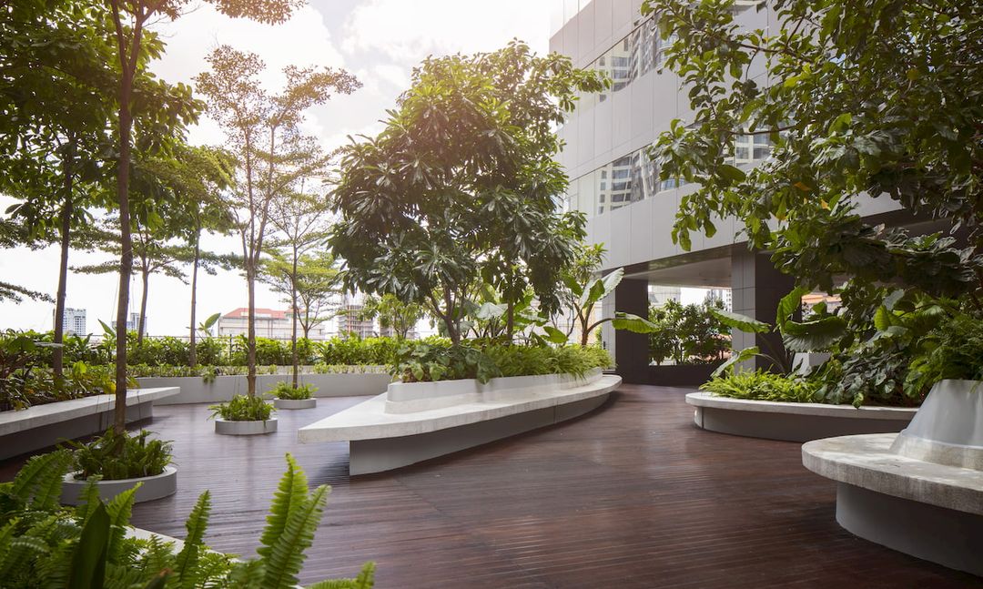 Our Building - About TK Central