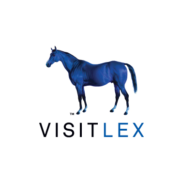 VisitLex | Brand Guidelines - Elements of the brand