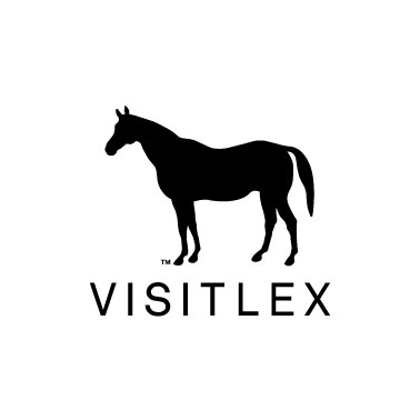 VisitLex | Brand Guidelines - Elements of the brand