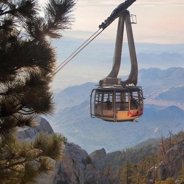 Explore Downtown Palm Springs on Canyon Drive | Drift Palm Springs