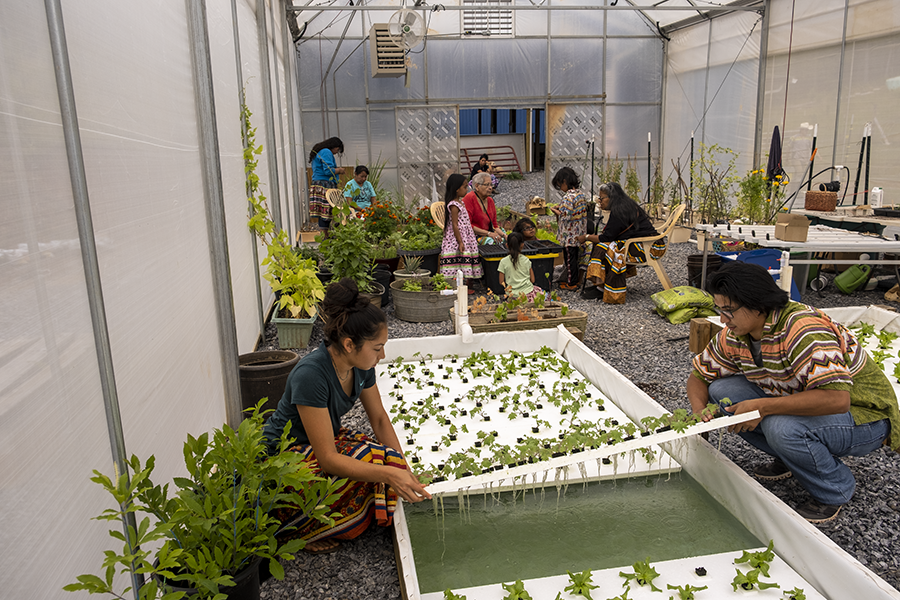 One Small Planet Water