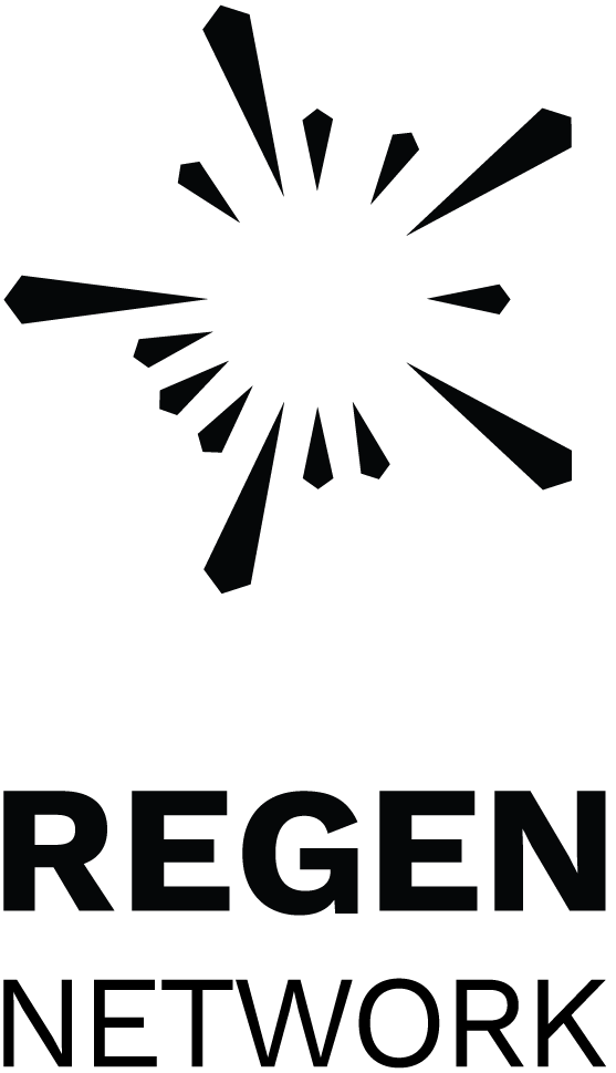 One Small Planet Fire