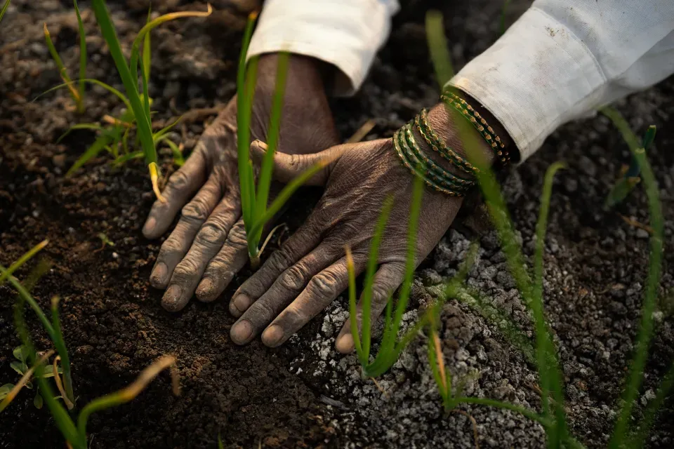 One Small Planet Fire