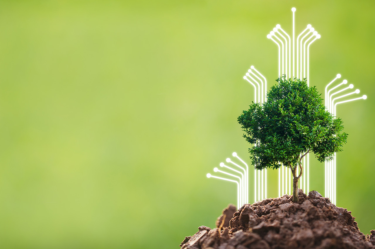 Digital Sustainability | Phonoscope Fiber