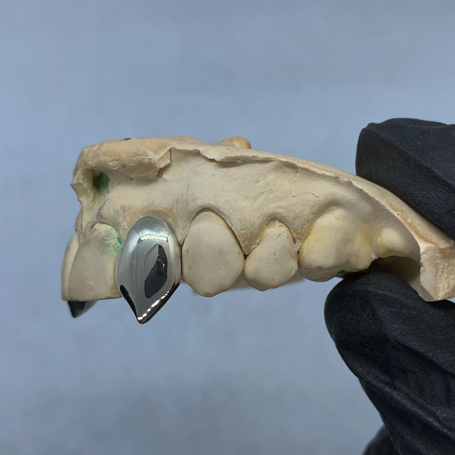 Fangs | Pearl Set Studio - Grillz