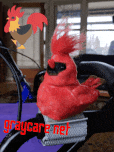 Walker Squawker Review: Delightful for Dementia | Graycare