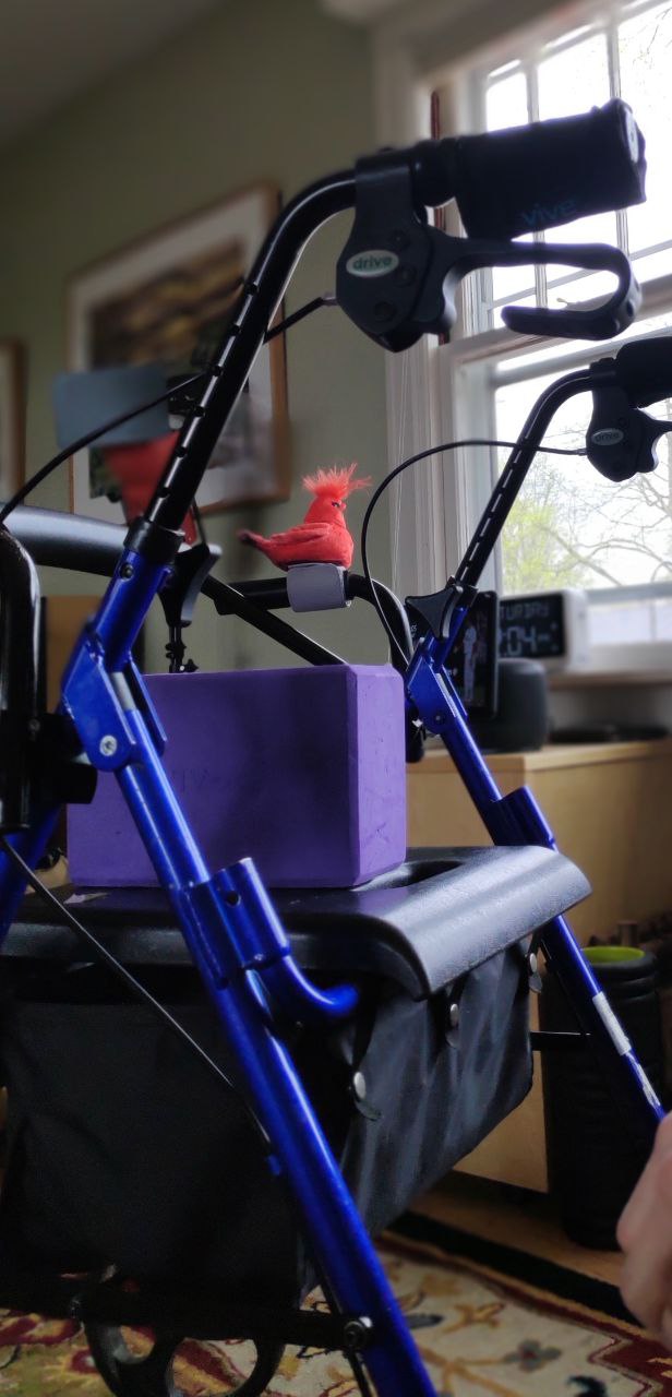 Walker Squawker Review: Delightful for Dementia | Graycare