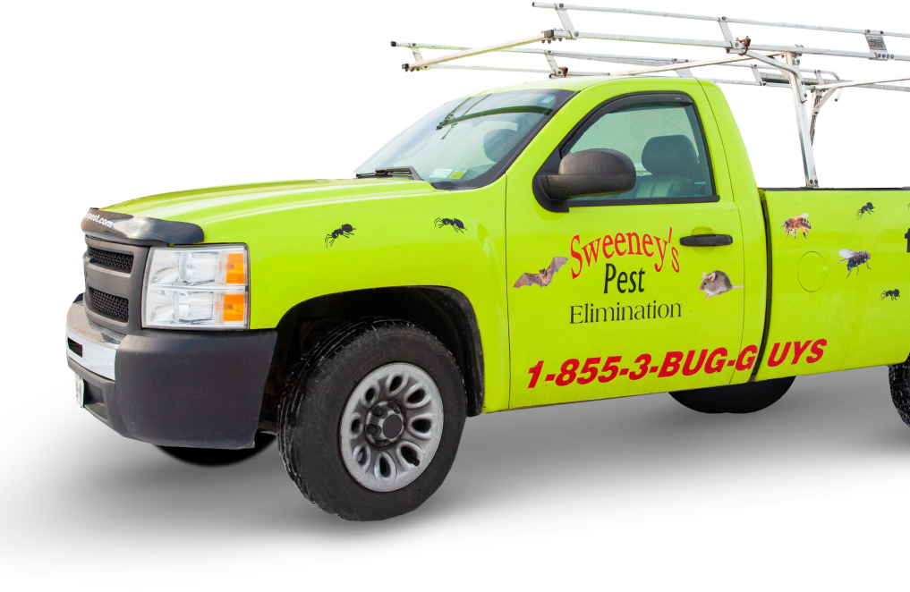 Sweeney's Pest Elimination - Best Pest Control Services