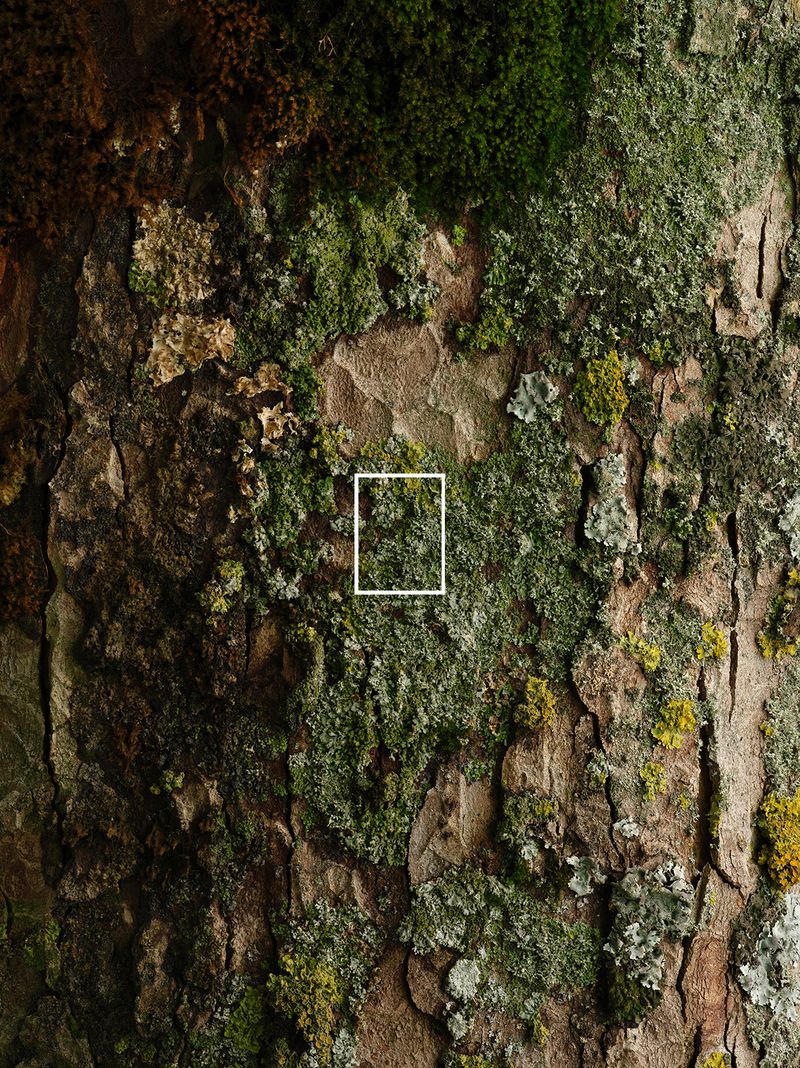 MATEXT | Materials & Textures