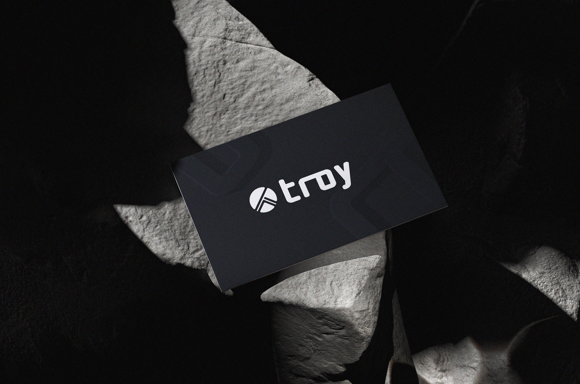 Troy - Tech Startup Branding by Nathan Soares