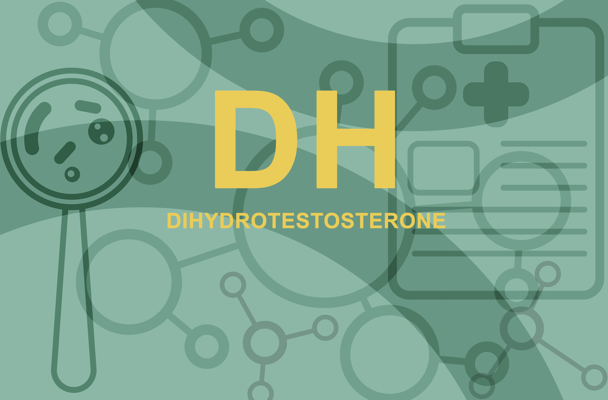 What is Dihydrotestosterone (DHT): Role in the Body, Normal Levels ...