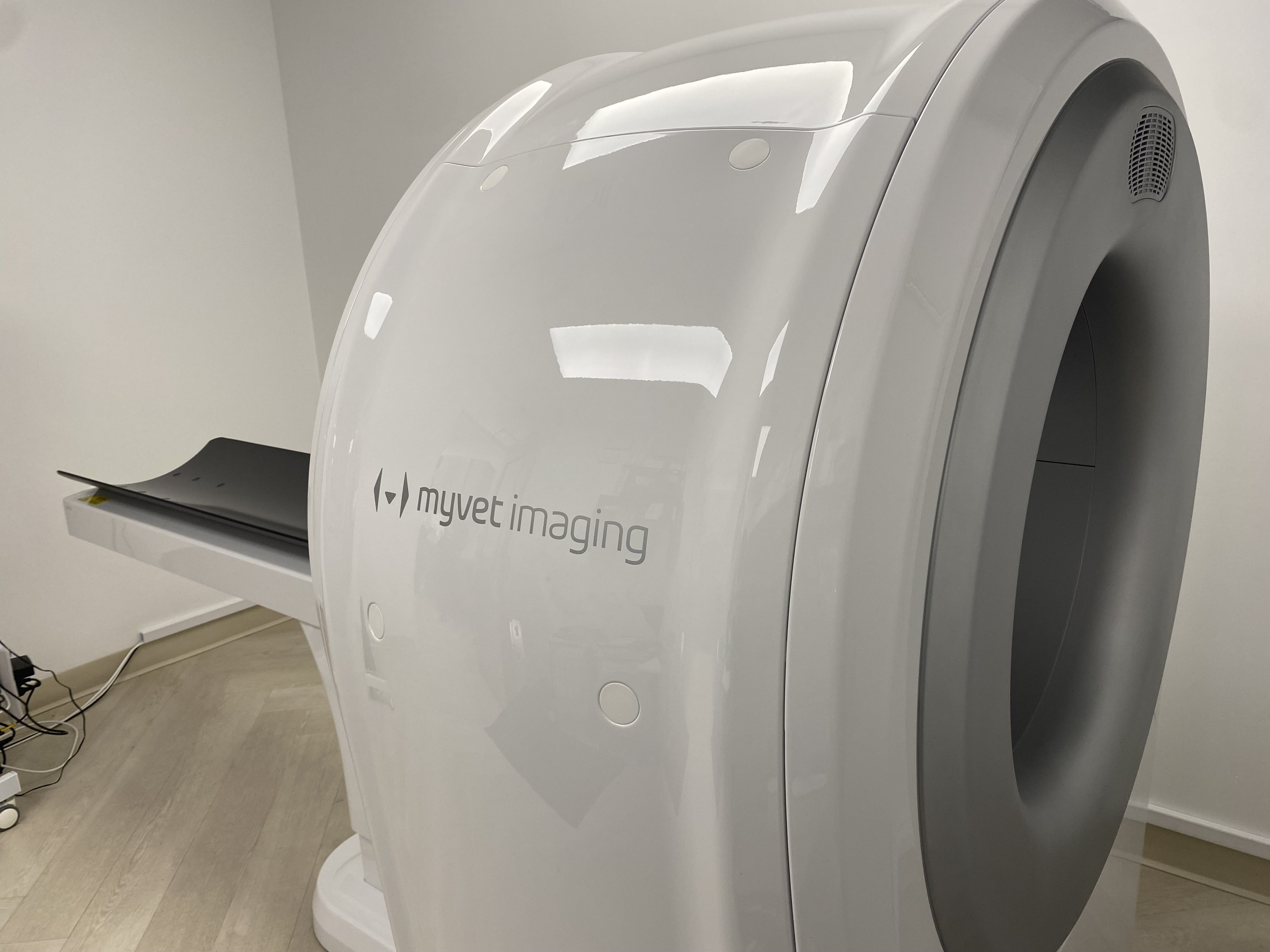 CT Scans for Pets | Advanced Diagnostic Imaging at Golden Heart ...