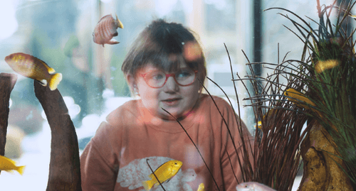 SCHI School - Welcome