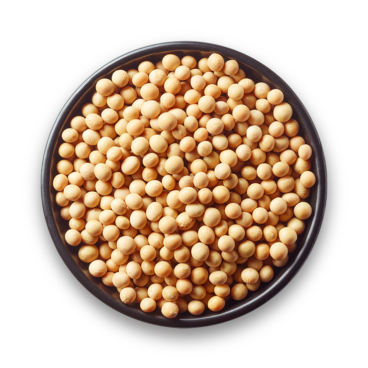 Vick Family Farms - Since 1975