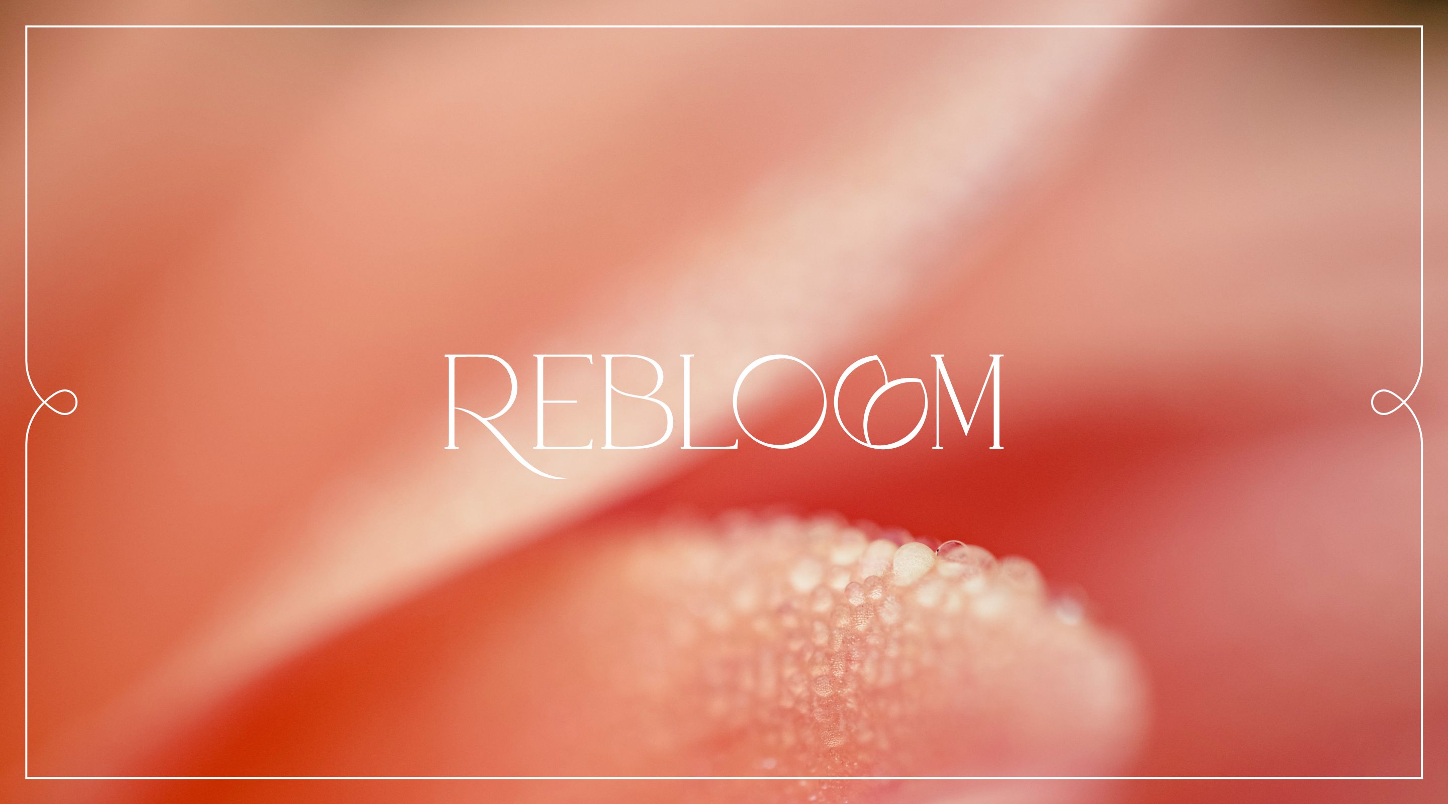 Design Angel: Rebloom