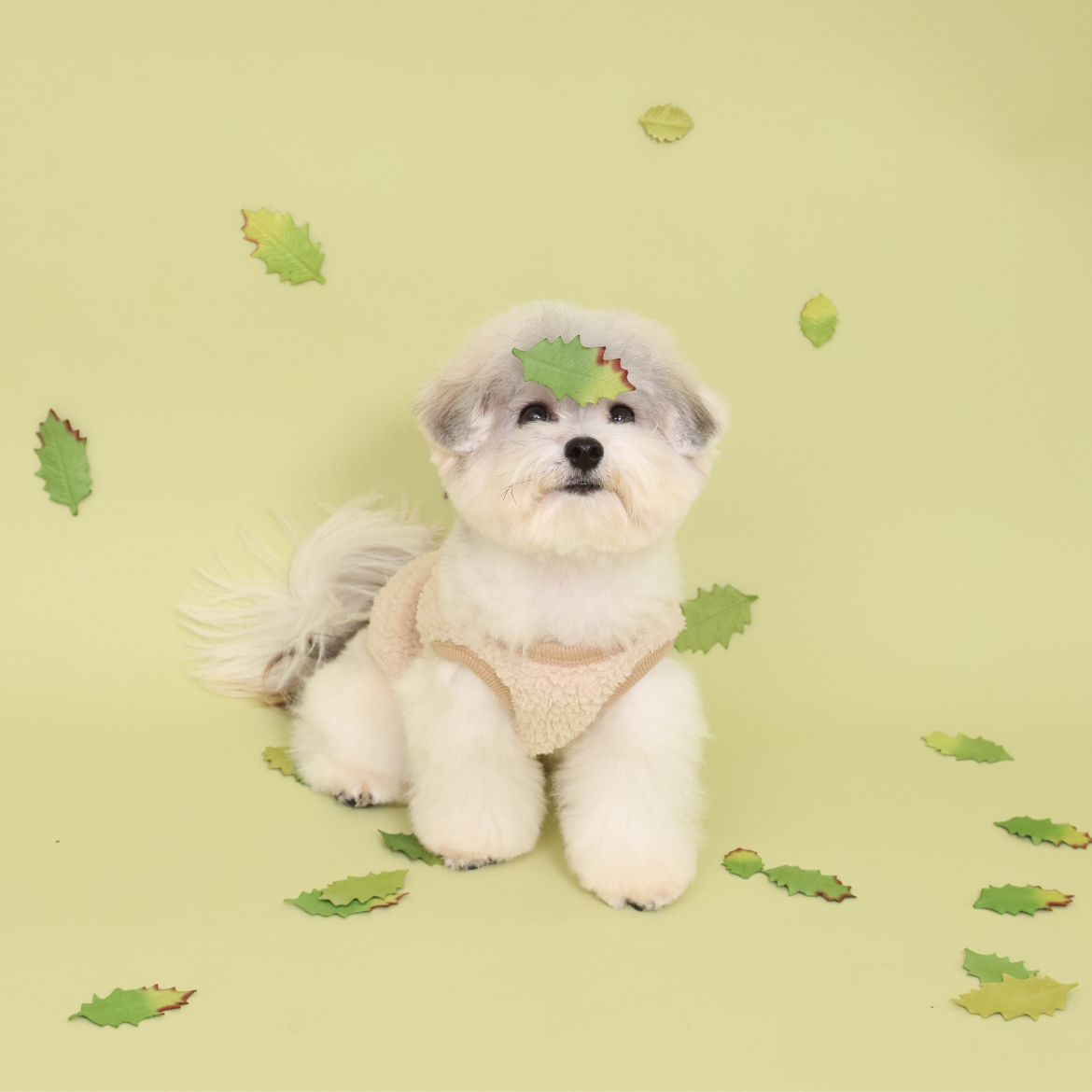 FotoLab - NYC's first self-portrait studio