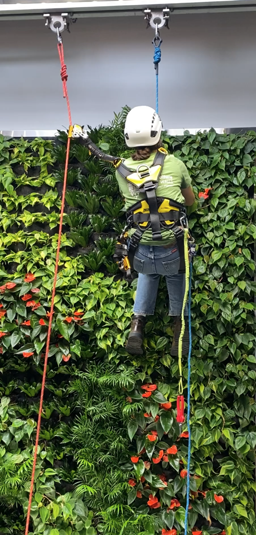 Habitat Horticulture