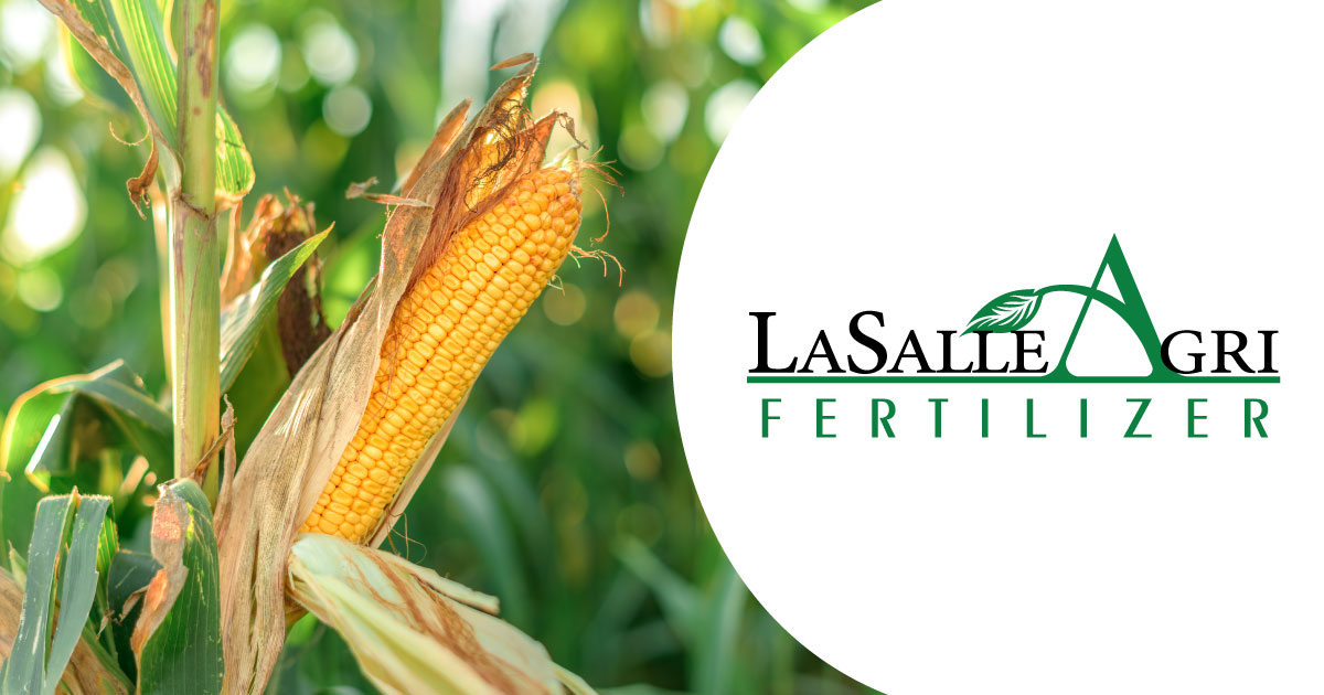 AgroBOOST Dry Fertilizer Give your crops a boost.