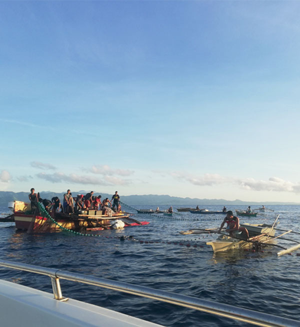 Tañon Strait Protected Seascape