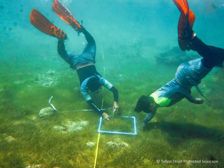 Tañon Strait Protected Seascape