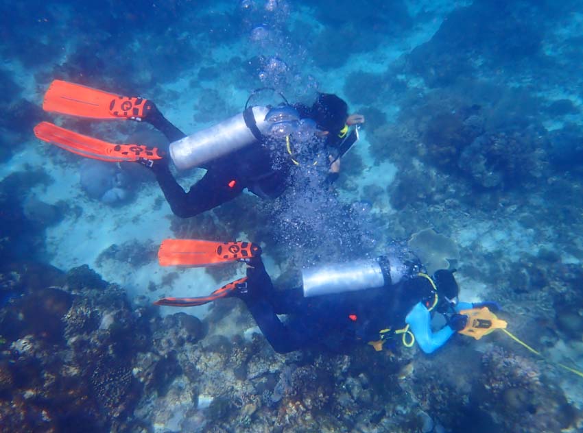 THE STATUS OF COASTAL AND MARINE HABITATS IN TAÑON STRAIT PROTECTED ...